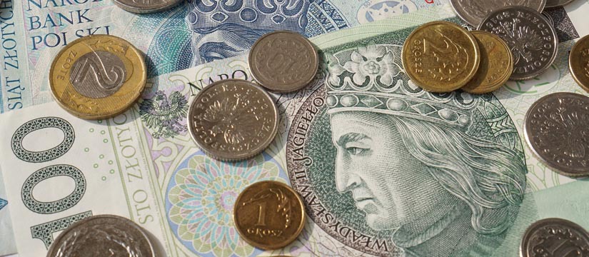 Opozycja sobie, a fakty sobie... Złotówka najmocniejszą walutą na ...