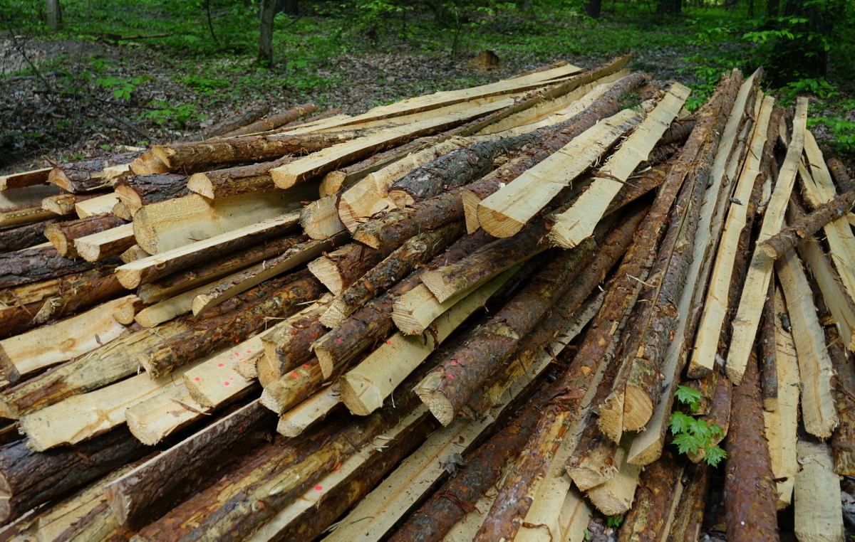 Drewno przede wszystkim dla polskich odbiorców