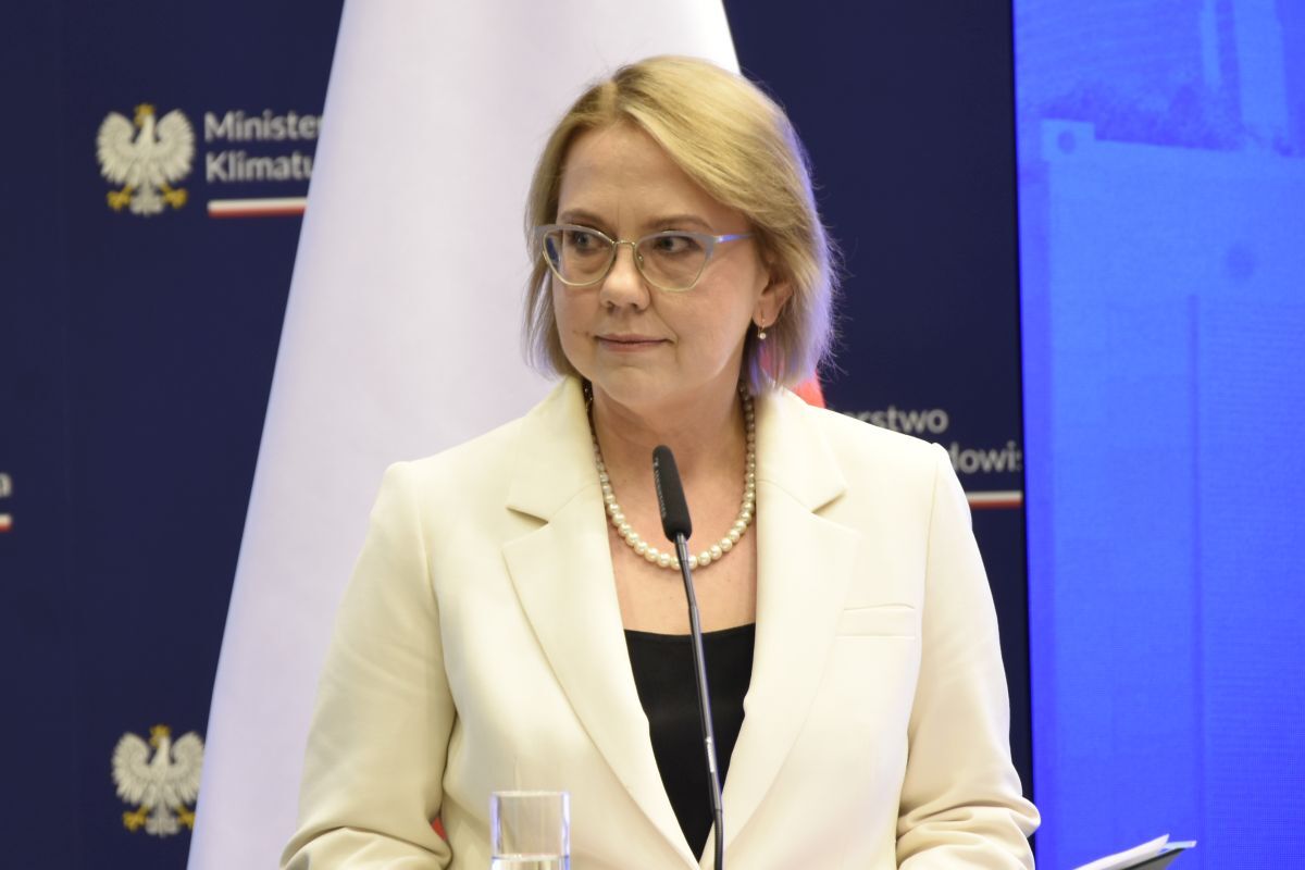 WYWIAD. Anna Moskwa: Koszty Fit for 55 będą gigantyczne