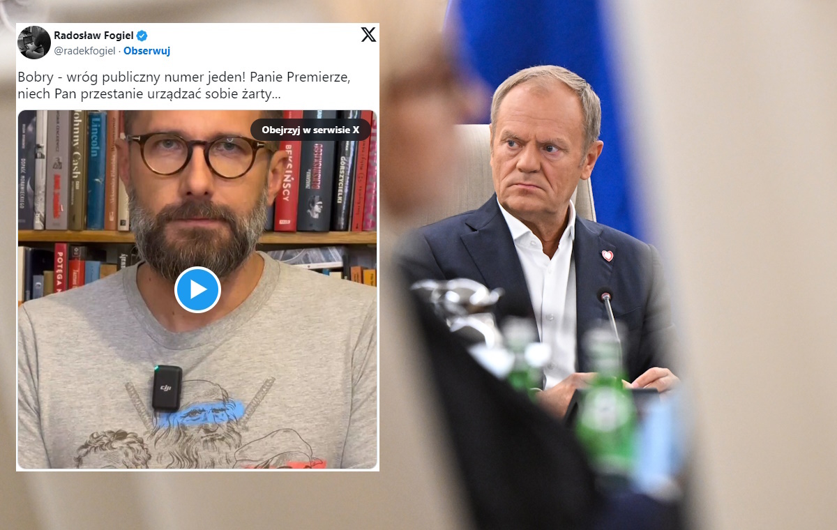 Tusk obwinia bobry. Fogiel: Niech pan nie kpi z Polaków