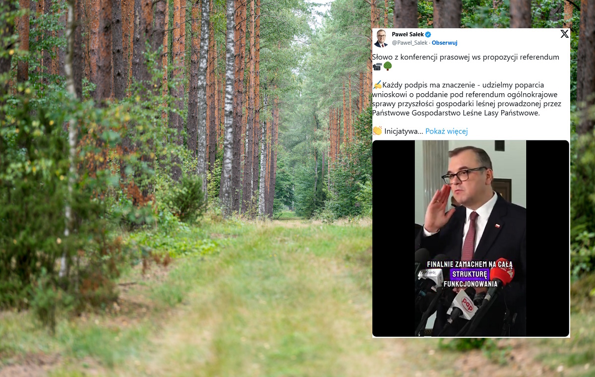 Referendum ws. lasów? Sałek: Każdy podpis ma znaczenie