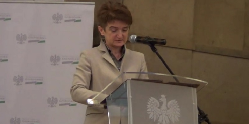 Wasiak przeciwko niemieckim przepisom o płacy minimalnej. "Nie może ...