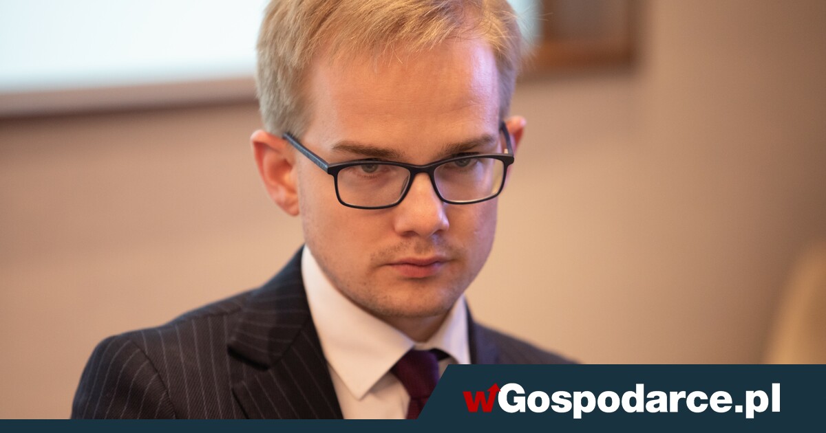 Patkowski: w 2022 r. 8 mld zł subwencji dla samorządów - wGospodarce.pl