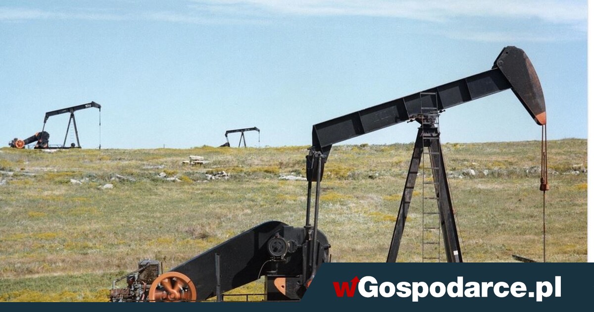 OPEC i Rosja zmniejszą wydobycie ropy - wGospodarce.pl