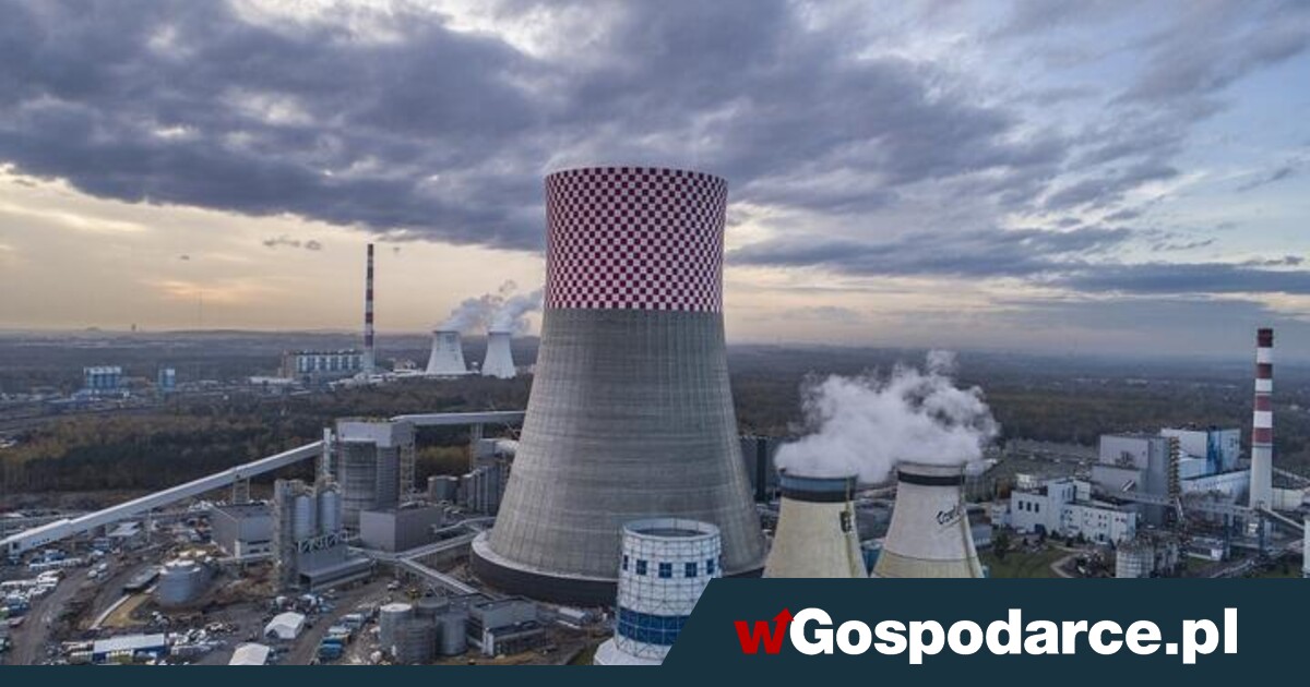 Tauron od 7 marca z nowym zarządem - wGospodarce.pl