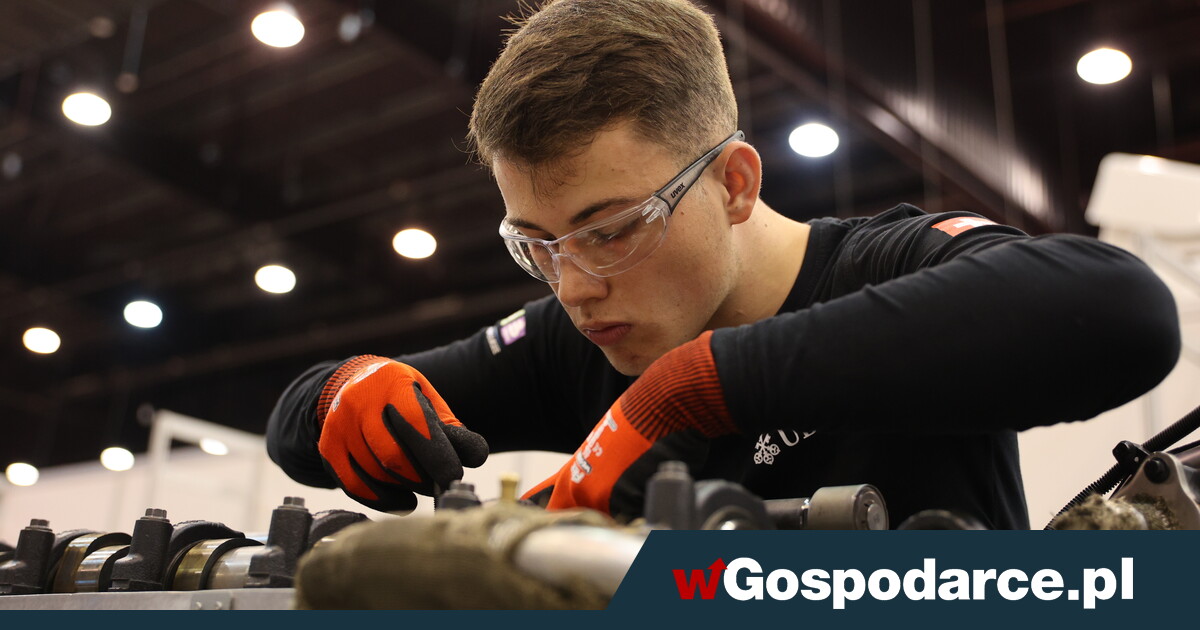 EuroSkills – najlepsi fachowcy rywalizowali w Gdańsku - wGospodarce.pl