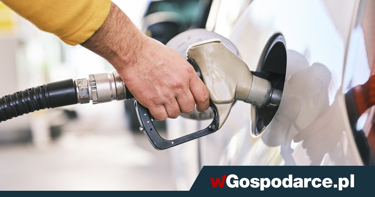 Ceny paliwa na długi weekend majowy - wGospodarce.pl