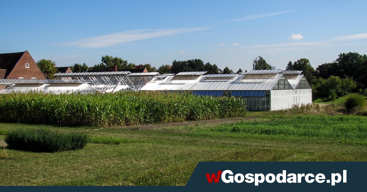 Polskie rolnictwo może być wzorem dla świata - wGospodarce.pl