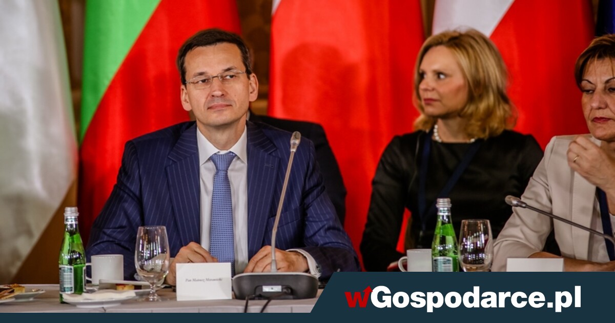 Morawiecki o rajach podatkowych: nie chowajmy głowy w piasek ...