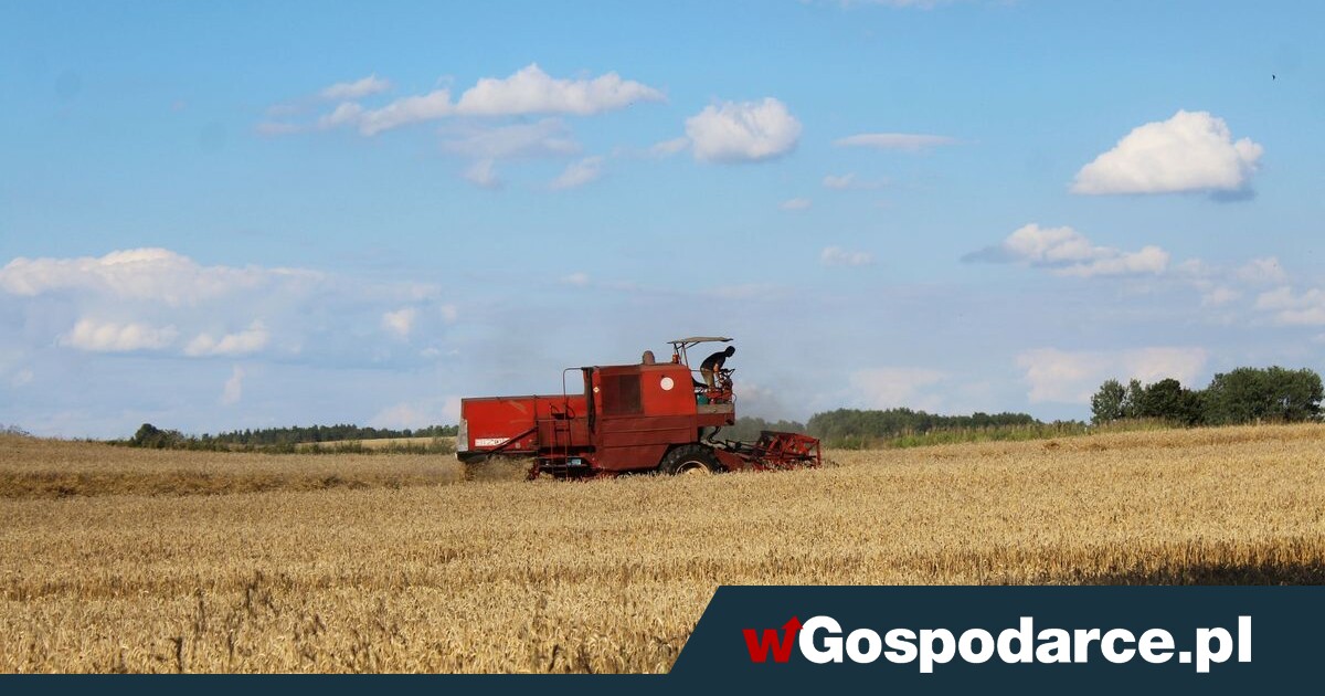 Rolnictwo ma być chronione przed... hakerami - wGospodarce.pl