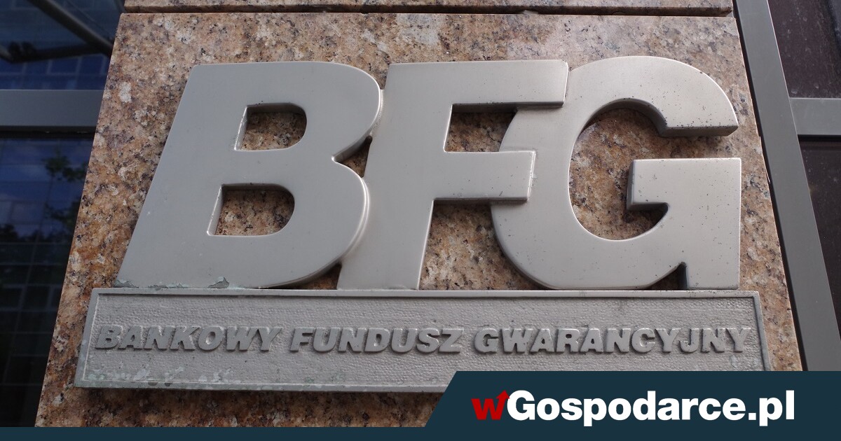 Miotła Tuska. Ludzie ministra finansów wchodzą do BFG - wGospodarce.pl