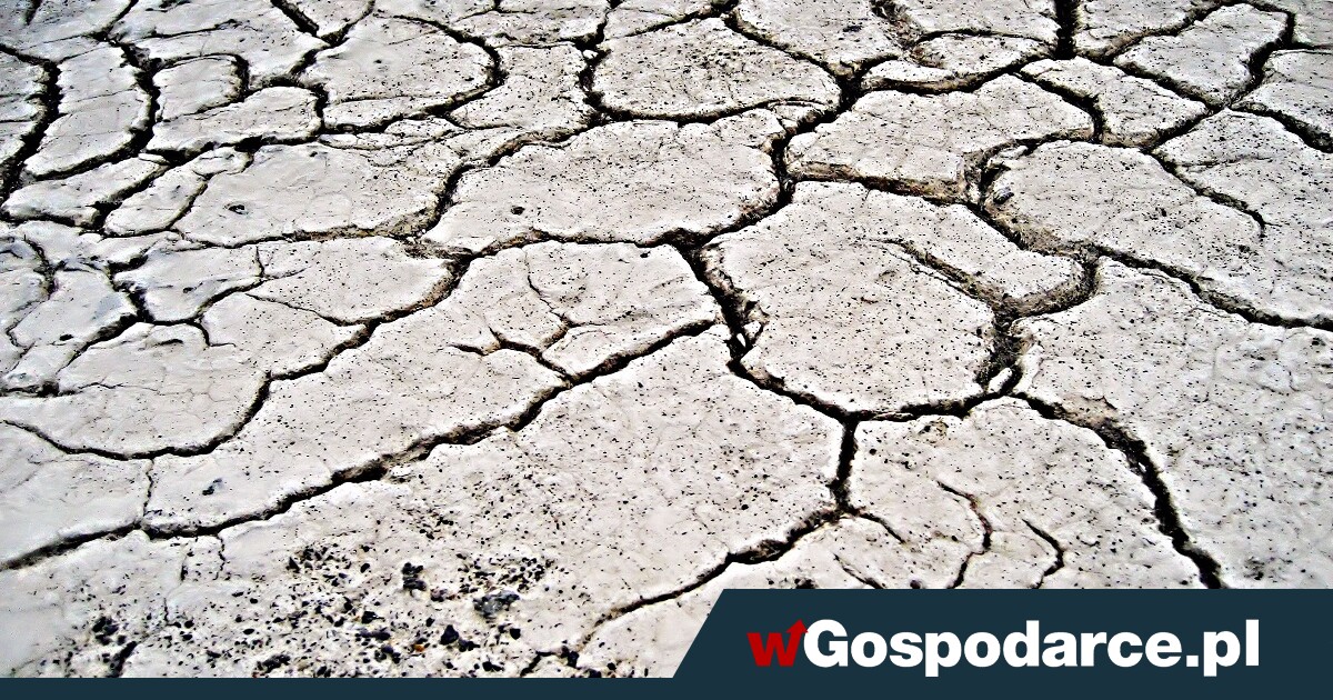 Raport o suszy: największy deficyt wody na Lubelszczyźnie - wGospodarce.pl