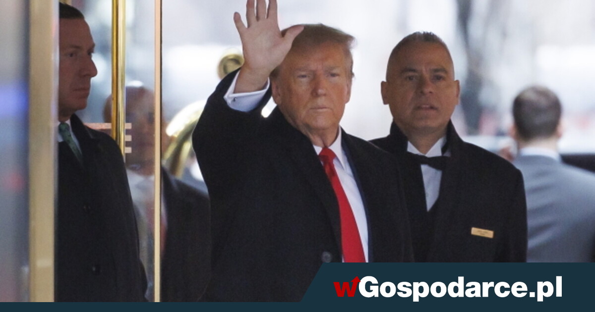 Chcą sądowo „zneutralizować” Donalda Trumpa - wGospodarce.pl
