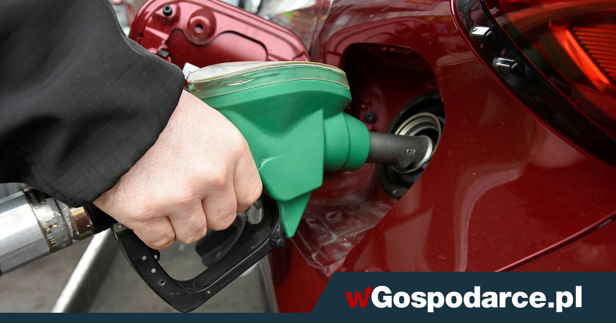 Drożeje diesel, a benzyna tanieje - wGospodarce.pl