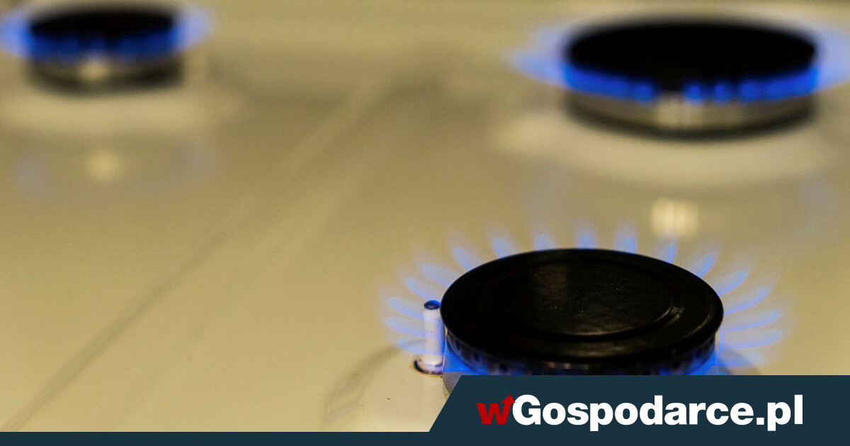 Orlen zamierza zwiększyć wydobycie krajowe gazu - wGospodarce.pl