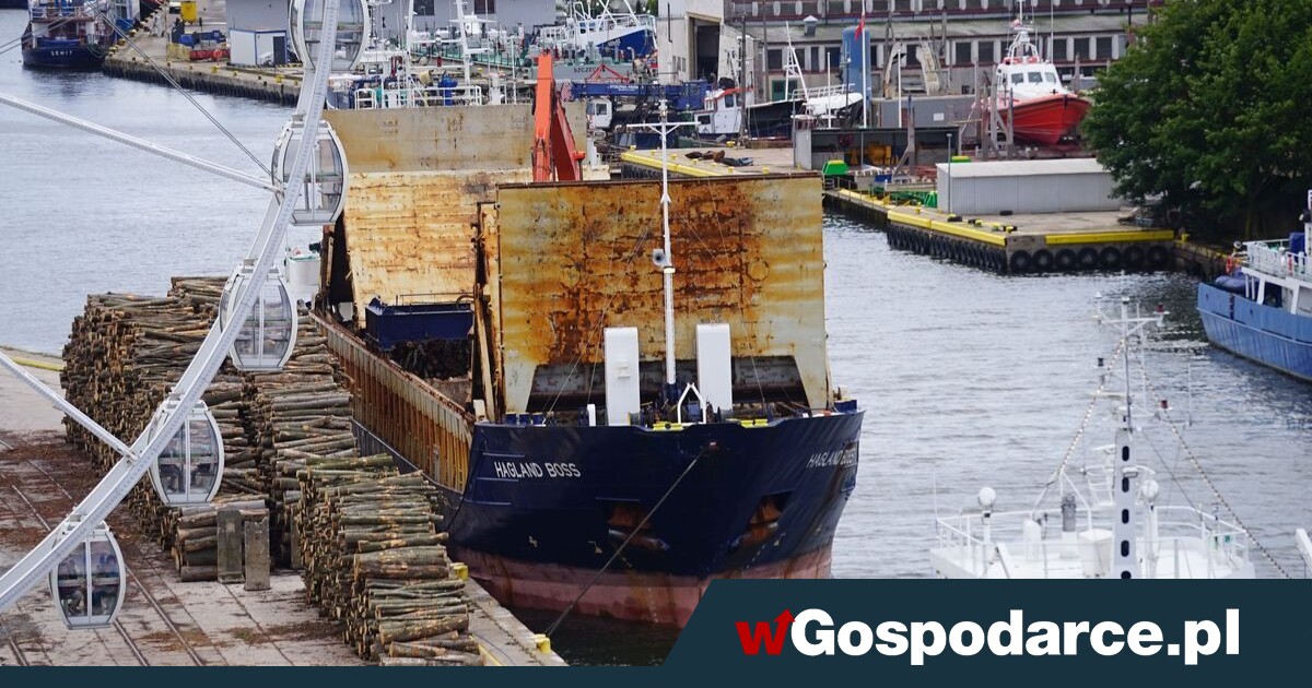 Ten polski port przeładowuje nawet 300 tys. ton rocznie! - wGospodarce.pl