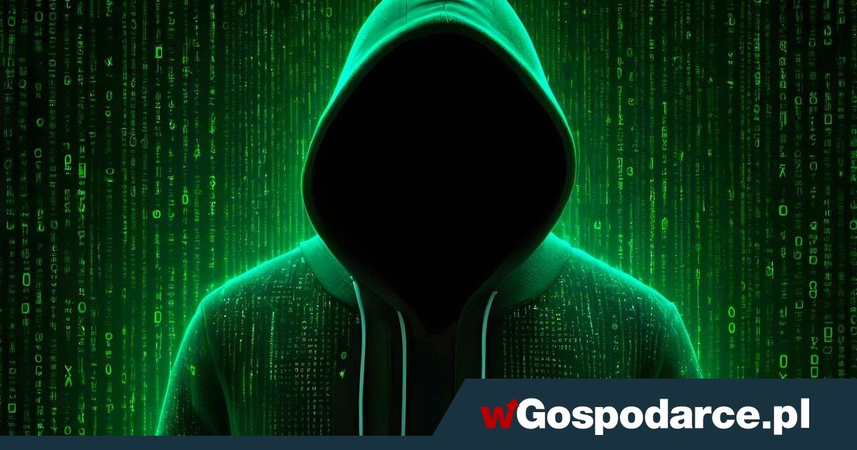 Hakerzy uderzają w militarną potęgę - wGospodarce.pl