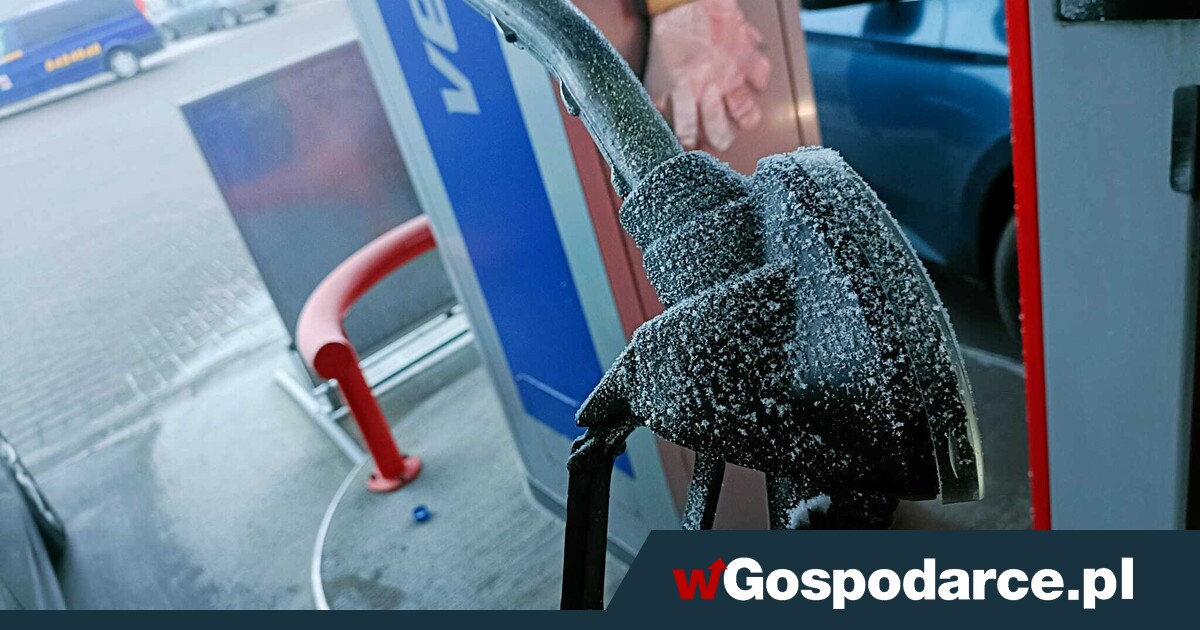 Oto ceny paliw w nadchodzącym tygodniu - wGospodarce.pl