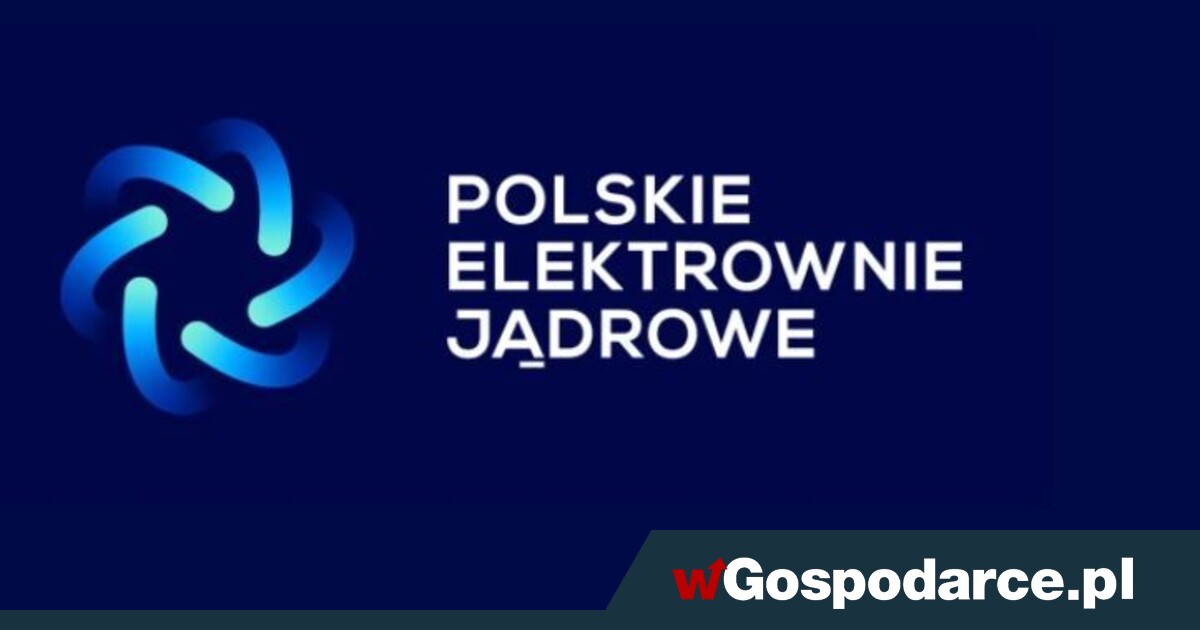 Zmiana wokół atomu. „Rezygnacja z przyczyn osobistych” - wGospodarce.pl