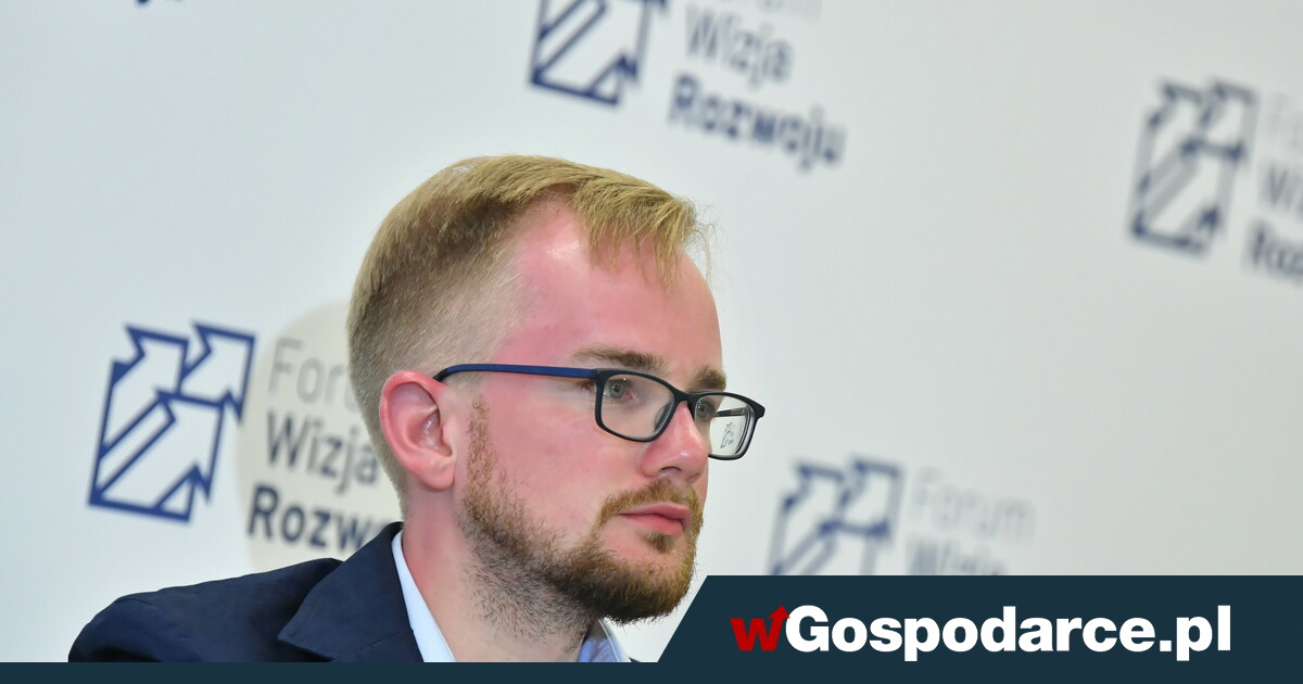 Patkowski: Dozbrojenie polskiej armii to program na lata - wGospodarce.pl