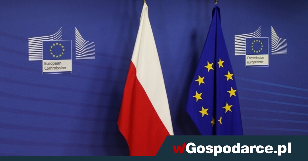 Wybory europejskie 9 czerwca 2024 r. - wGospodarce.pl