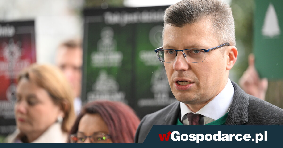 Solidarna Polska: Tusk chce oddać polskie lasy Berlinowi i Brukseli - wGospodarce.pl