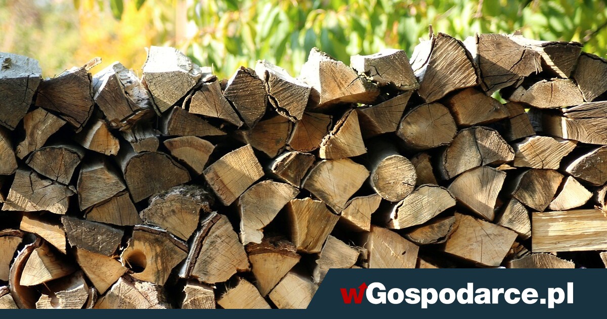 Ile kosztuje drewno na opał? - wGospodarce.pl
