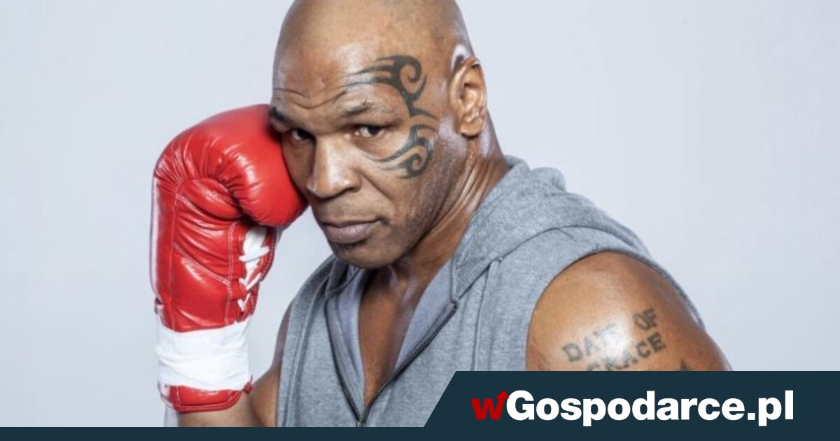 Legendy boksu wracają na ring. 50-latkowie zgarną fortunę - wGospodarce.pl