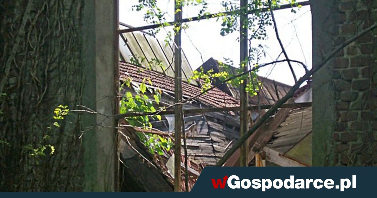 Bieda Polska - raport - wGospodarce.pl