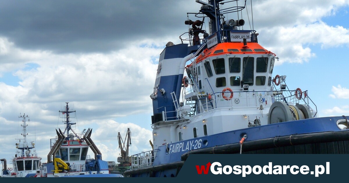 Dlaczego polskie porty szkodzą Niemcom? - wGospodarce.pl