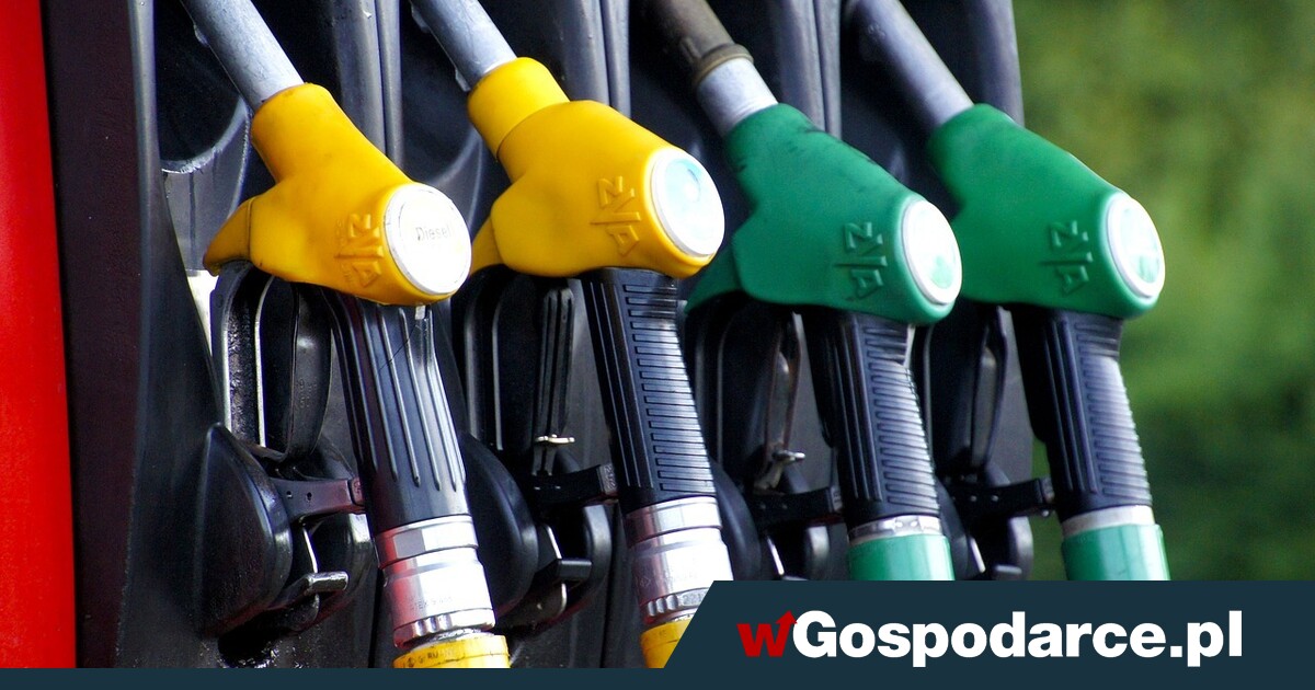 Stabilne ceny paliw - wGospodarce.pl