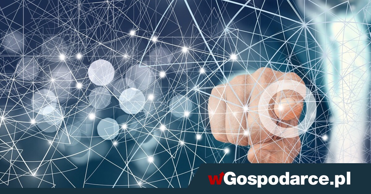 Ile jest wart cyfrowy biznes Polski? Setki miliardów - wGospodarce.pl