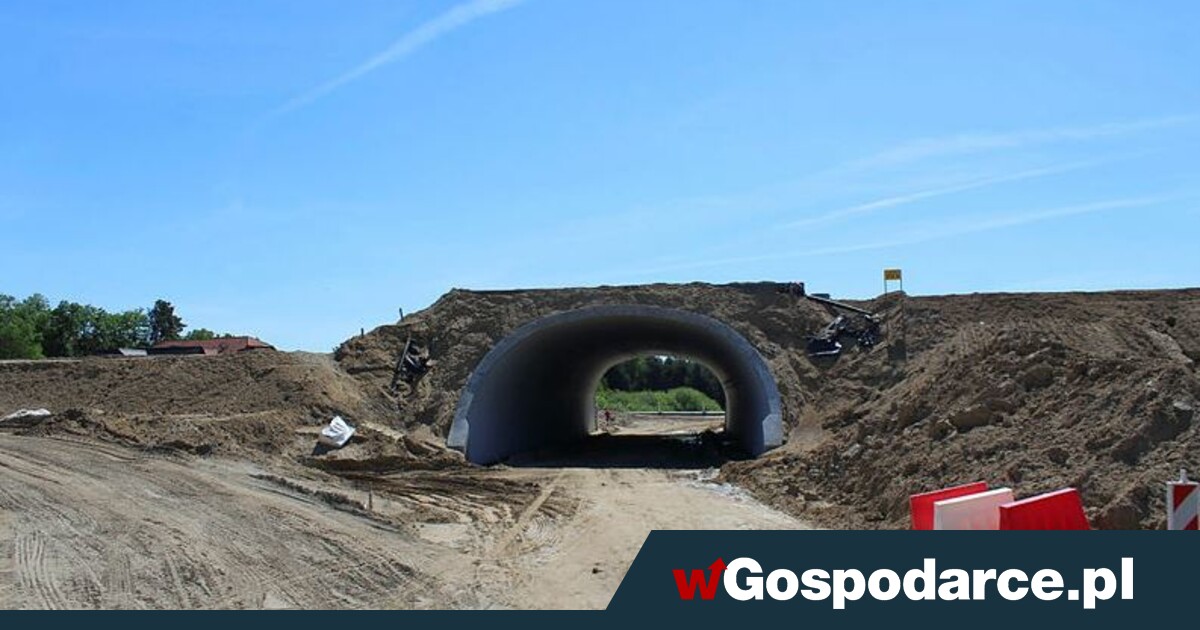 Rubau wyrzucona z budów 2 ekspresówek - wGospodarce.pl