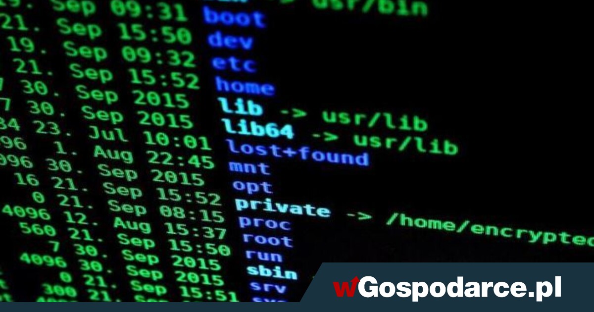 Dane i hasła milionów osób skradzione ze sklepu internetowego ...