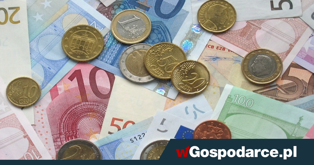 Wraca temat wejścia Polski do strefy euro. "Lek na inflację ...