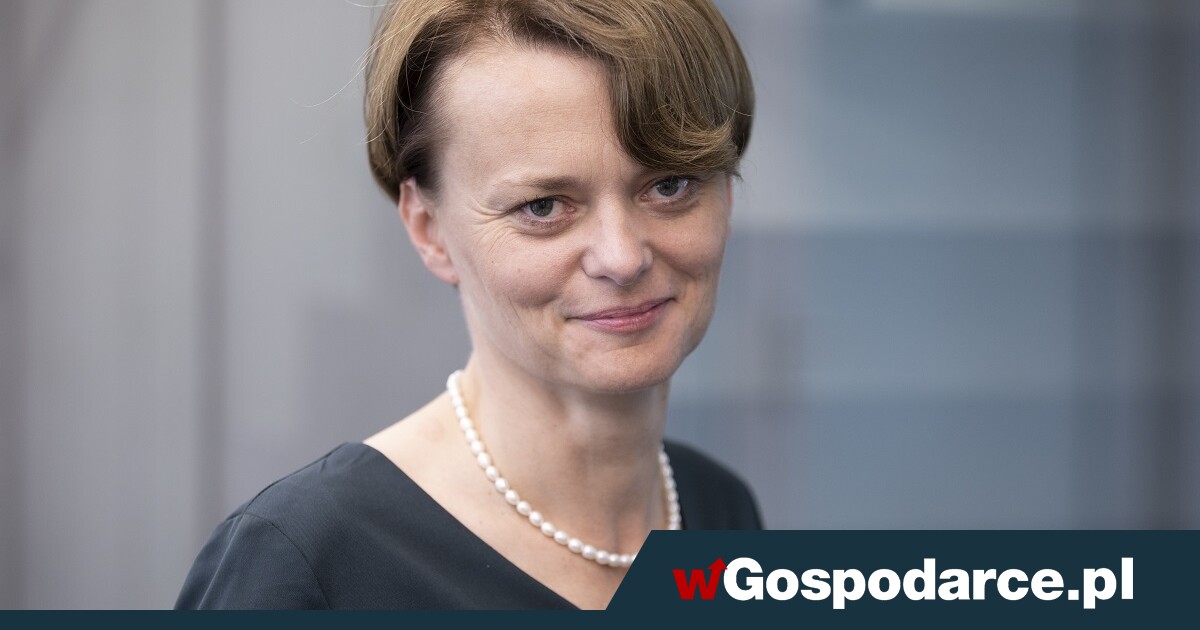 Współpraca polsko–ukraińska a perspektywy odbudowy Ukrainy - wGospodarce.pl