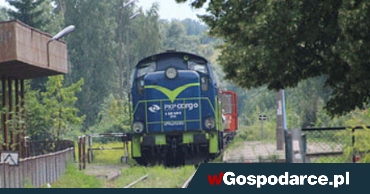Katastrofa w PKP Cargo. Aż 4 tys. pracowników nie przyjdzie do pracy ...