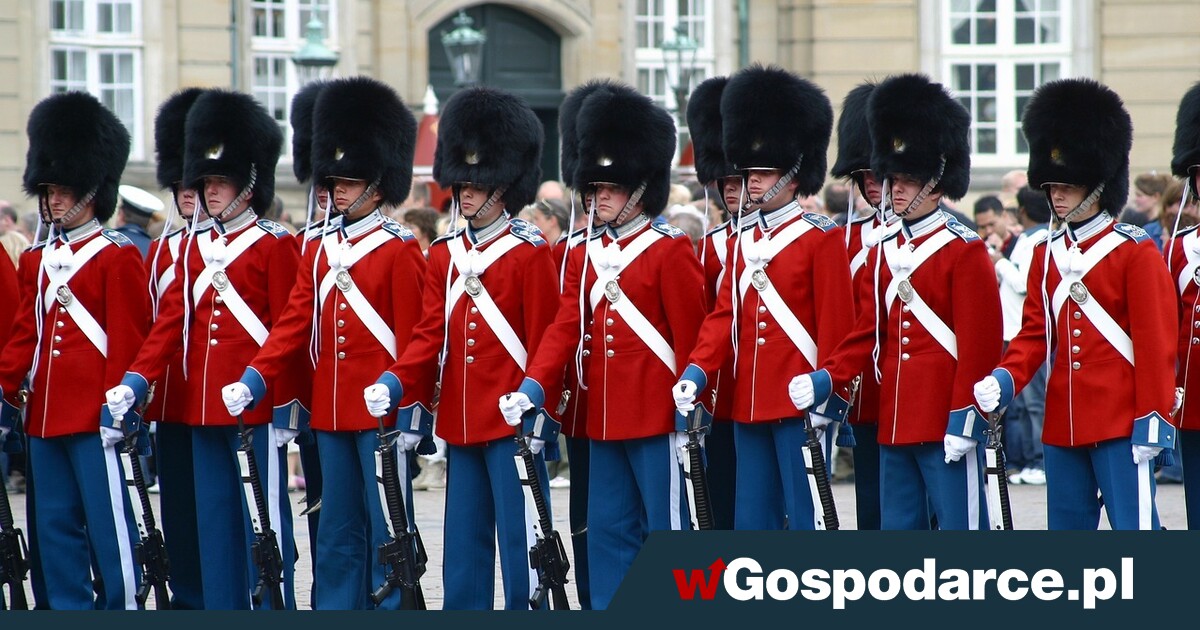 Armia Wielkiej Brytanii w opłakanym stanie? - wGospodarce.pl