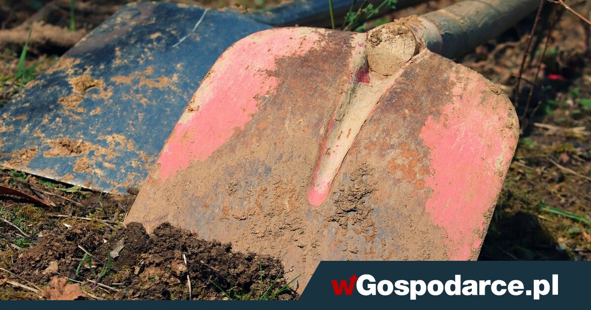 Rosja szuka chętnych do kopania okopów - wGospodarce.pl