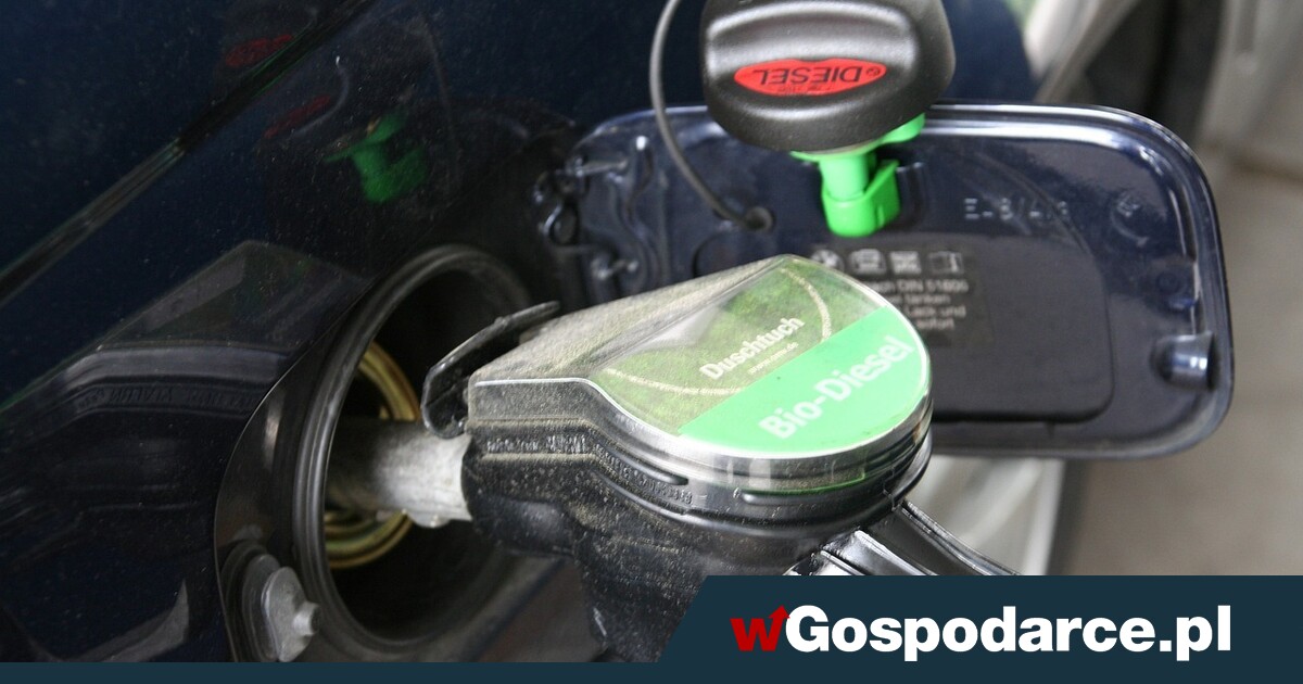 Ceny paliw się rozhulały i tylko skaczą w górę - wGospodarce.pl
