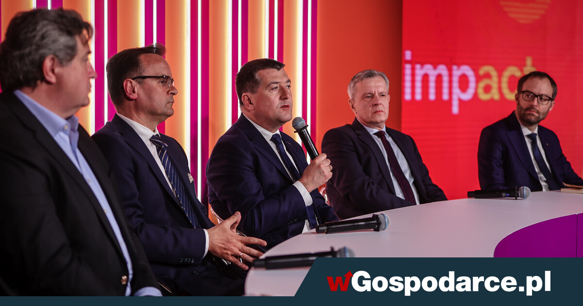 Lekcja przewidywalnych zdarzeń, czyli jak odporny jest sektor bankowy w Polsce? - wGospodarce.pl