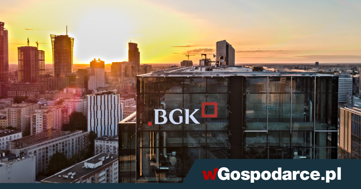 Jak wygląda stan Polskiej gospodarki cyfrowej? - wGospodarce.pl