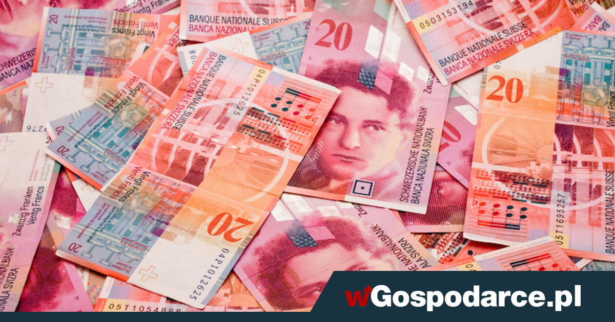 Kim jest statystyczny „frankowicz”? - wGospodarce.pl Kim jest statystyczny „frankowicz”? - wGospodarce.pl