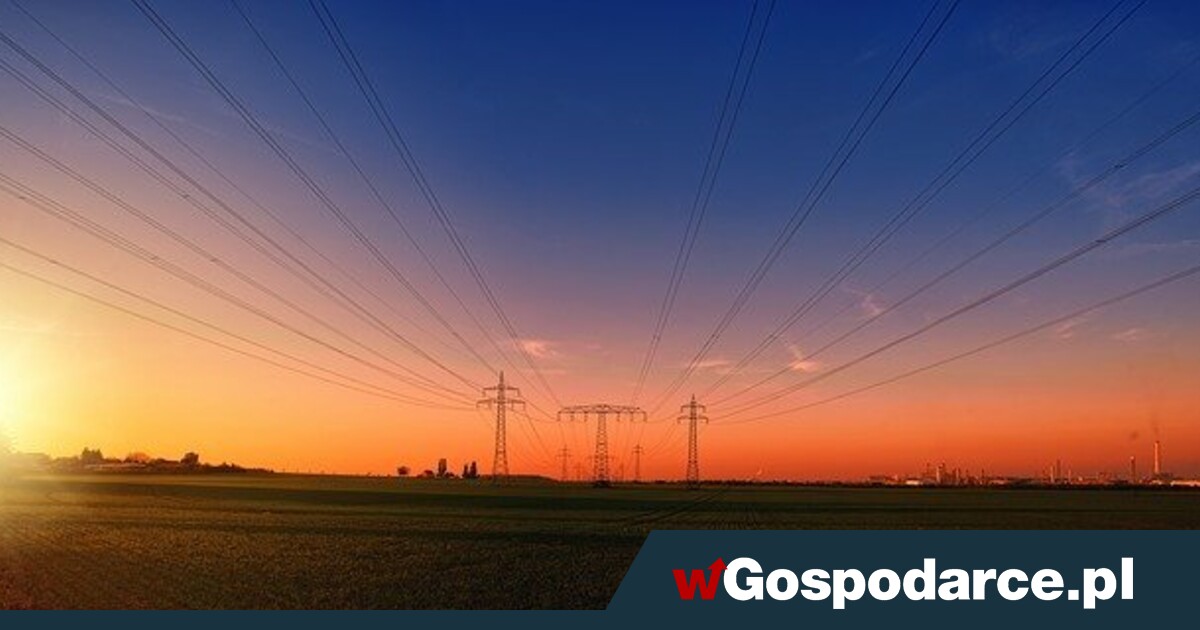 Dziesiątki miliardów na nowe sieci w Polsce! - wGospodarce.pl