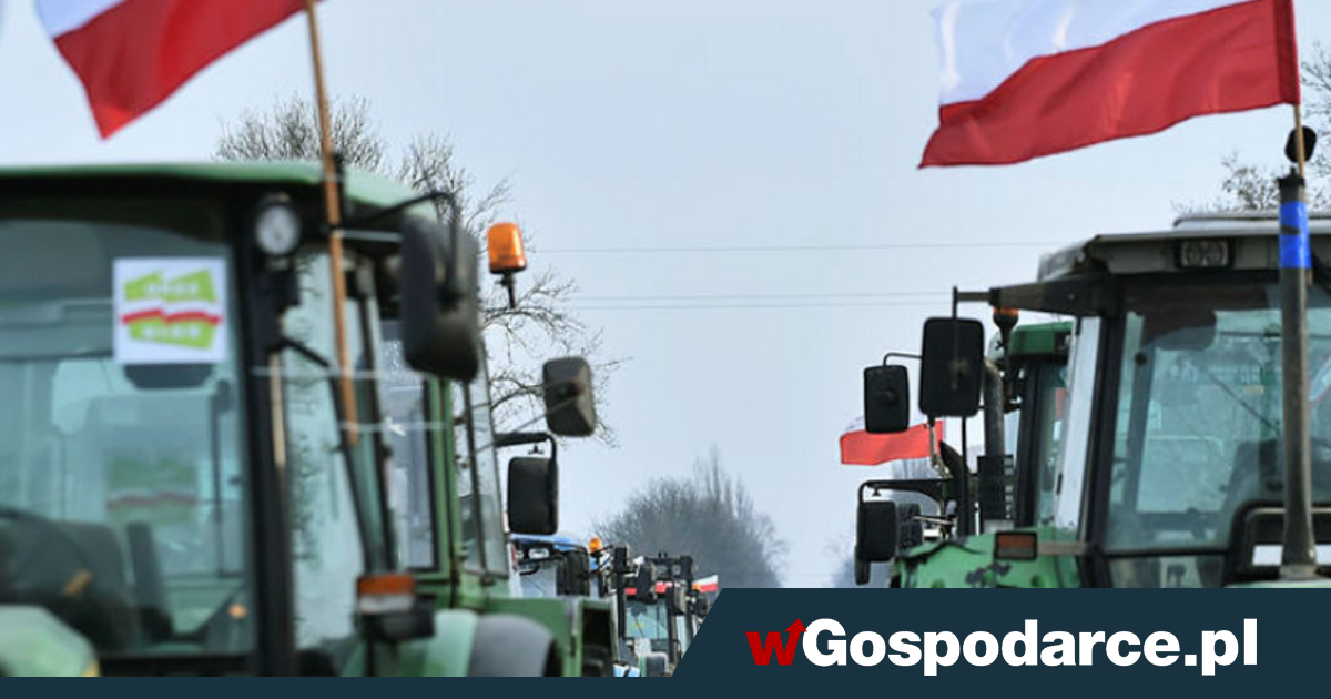 Strajk generalny rolników. Od 9 lutego przez 30 dni - wGospodarce.pl
