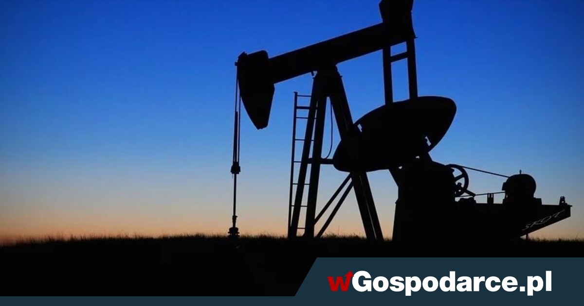 Rosja i kraje OPEC tną wydobycie ropy o 10 proc. - wGospodarce.pl