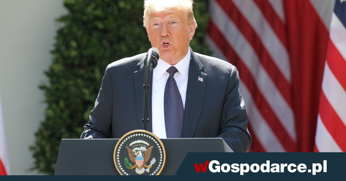 Donald Trump wygra te wybory - wGospodarce.pl