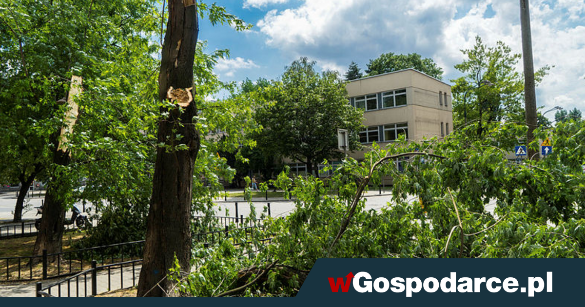 Orkany kosztowały ubezpieczycieli 250-320 mln zł - wGospodarce.pl